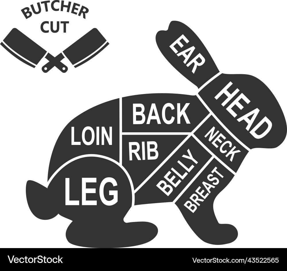 Rabbit scheme cuts butcher diagram poster meat Vector Image