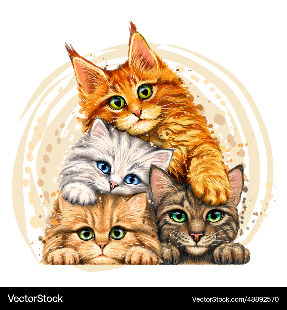Kittens graphic color portrait Royalty Free Vector Image