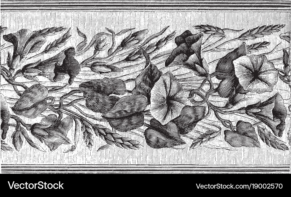 Silk ribbon has a repeating pattern of flowers Vector Image