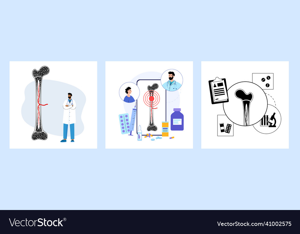 Bone marrow set Royalty Free Vector Image - VectorStock