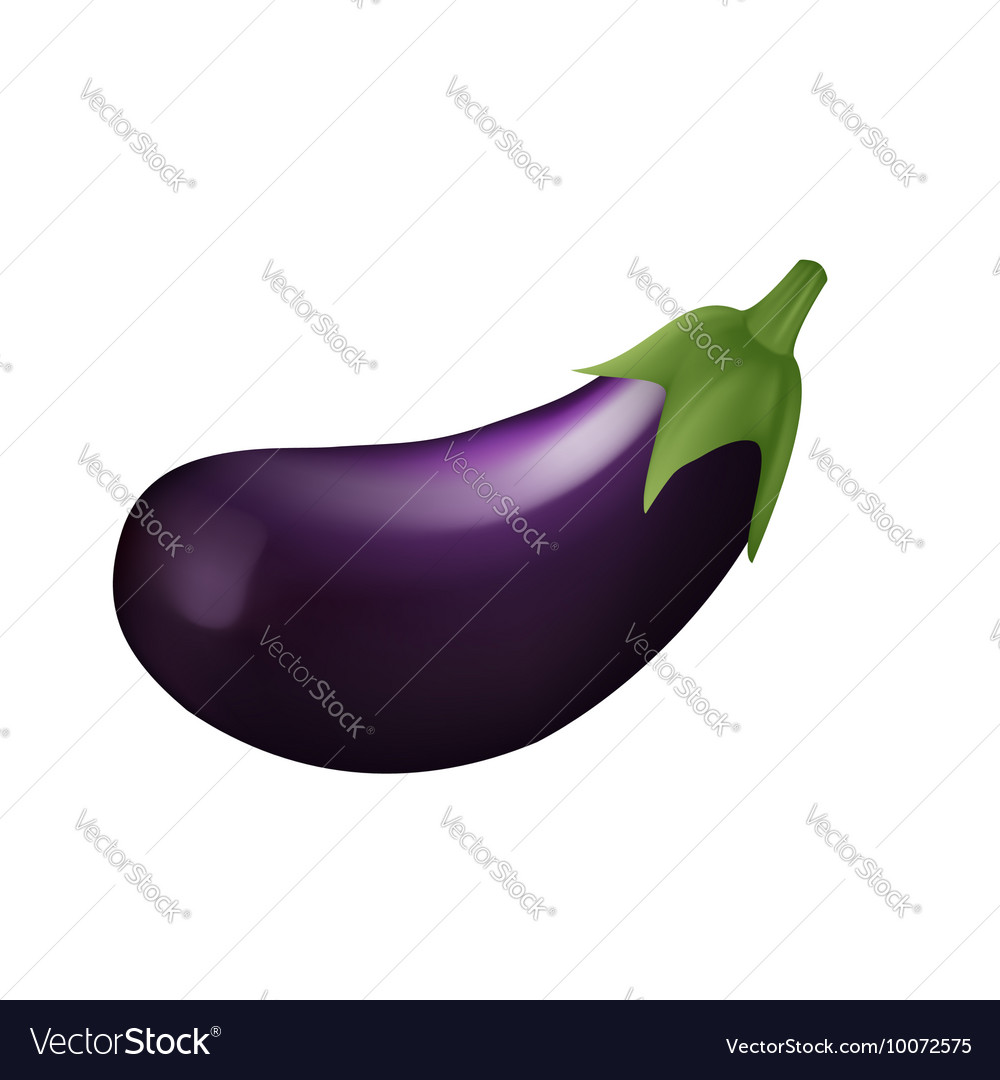 Eggplant Royalty Free Vector Image - VectorStock