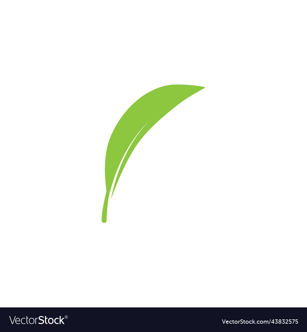 Leaf logo Royalty Free Vector Image - VectorStock