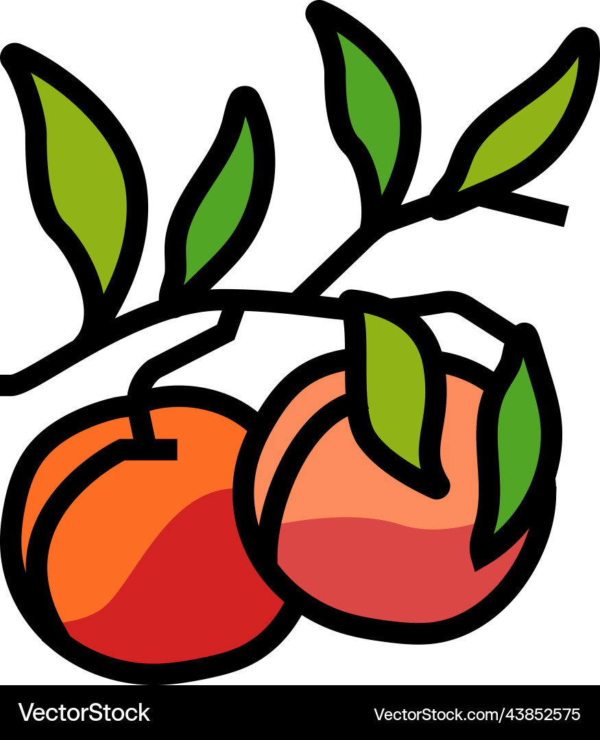 Plant branch nectarine color icon Royalty Free Vector Image