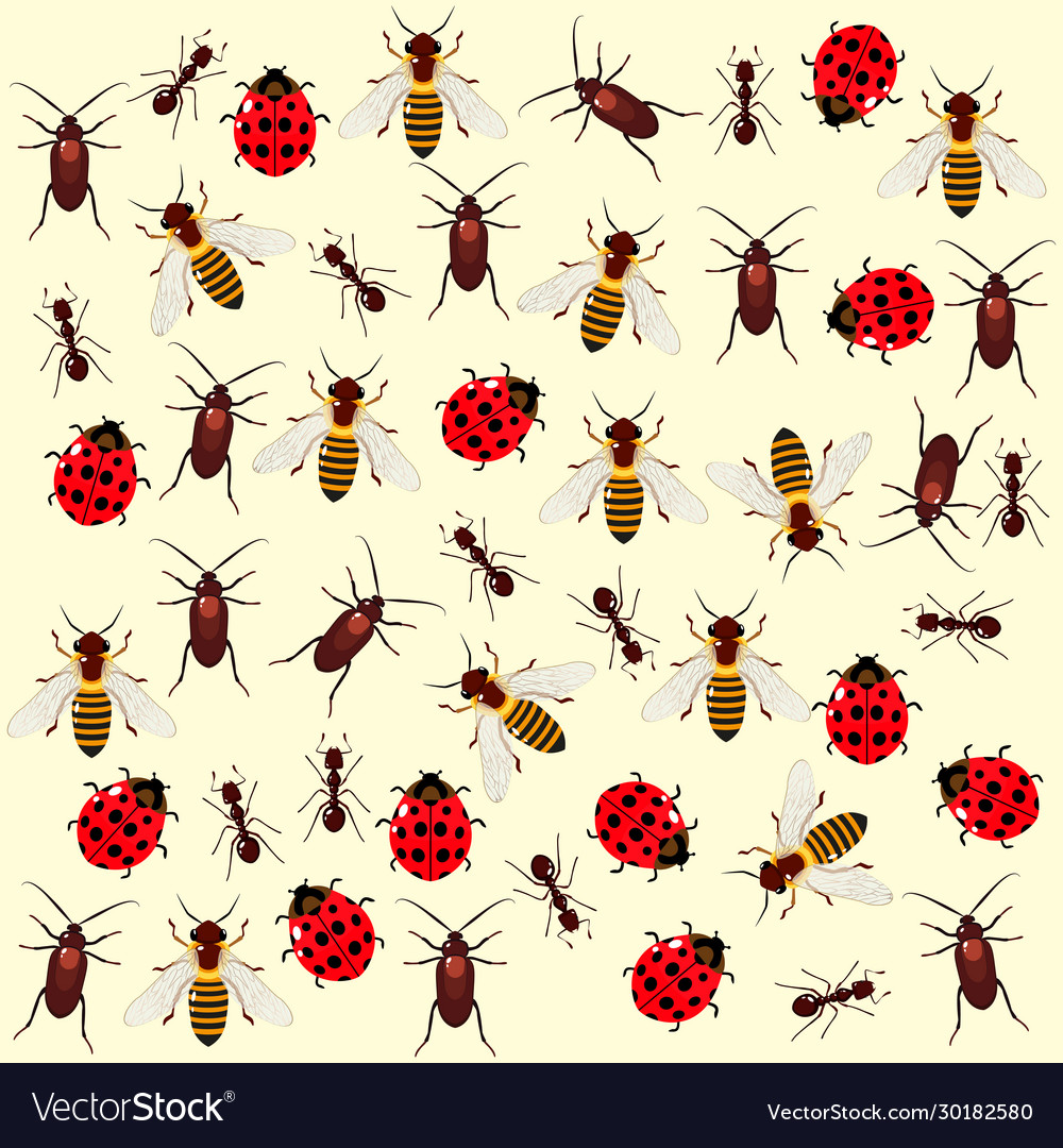 Seamless pattern with colored bugs Royalty Free Vector Image