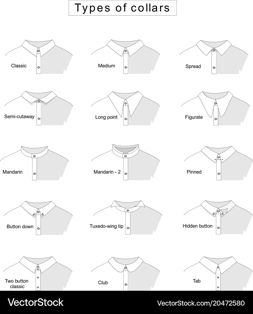 Types collars Royalty Free Vector Image - VectorStock