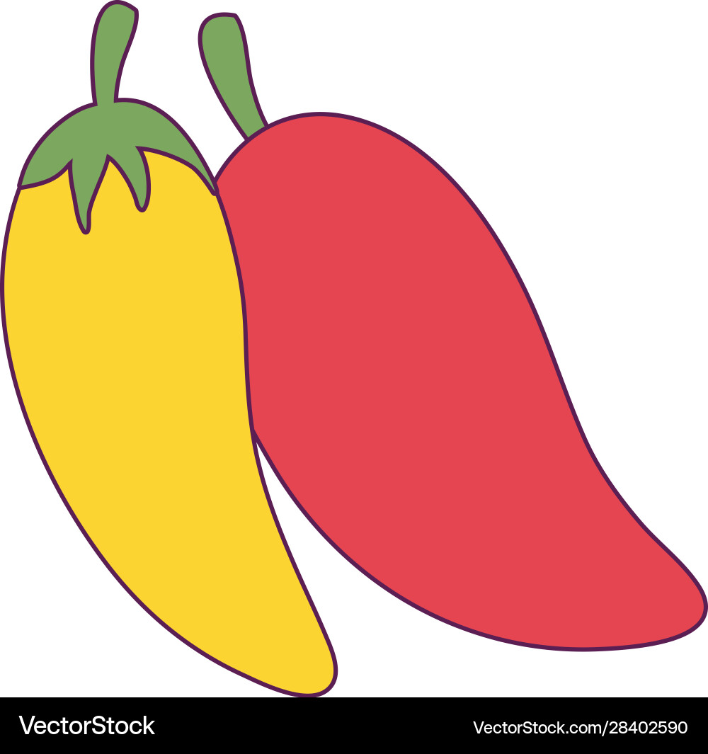 Isolated chillis vegetable design Royalty Free Vector Image