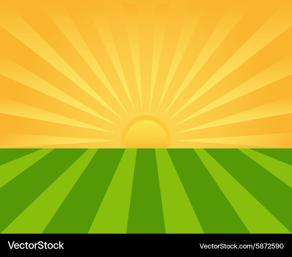 Sunrise on the green field Royalty Free Vector Image