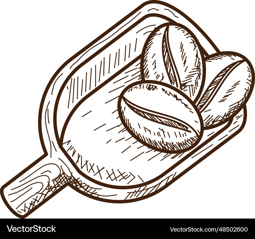Coffee grains and spoon icon Royalty Free Vector Image