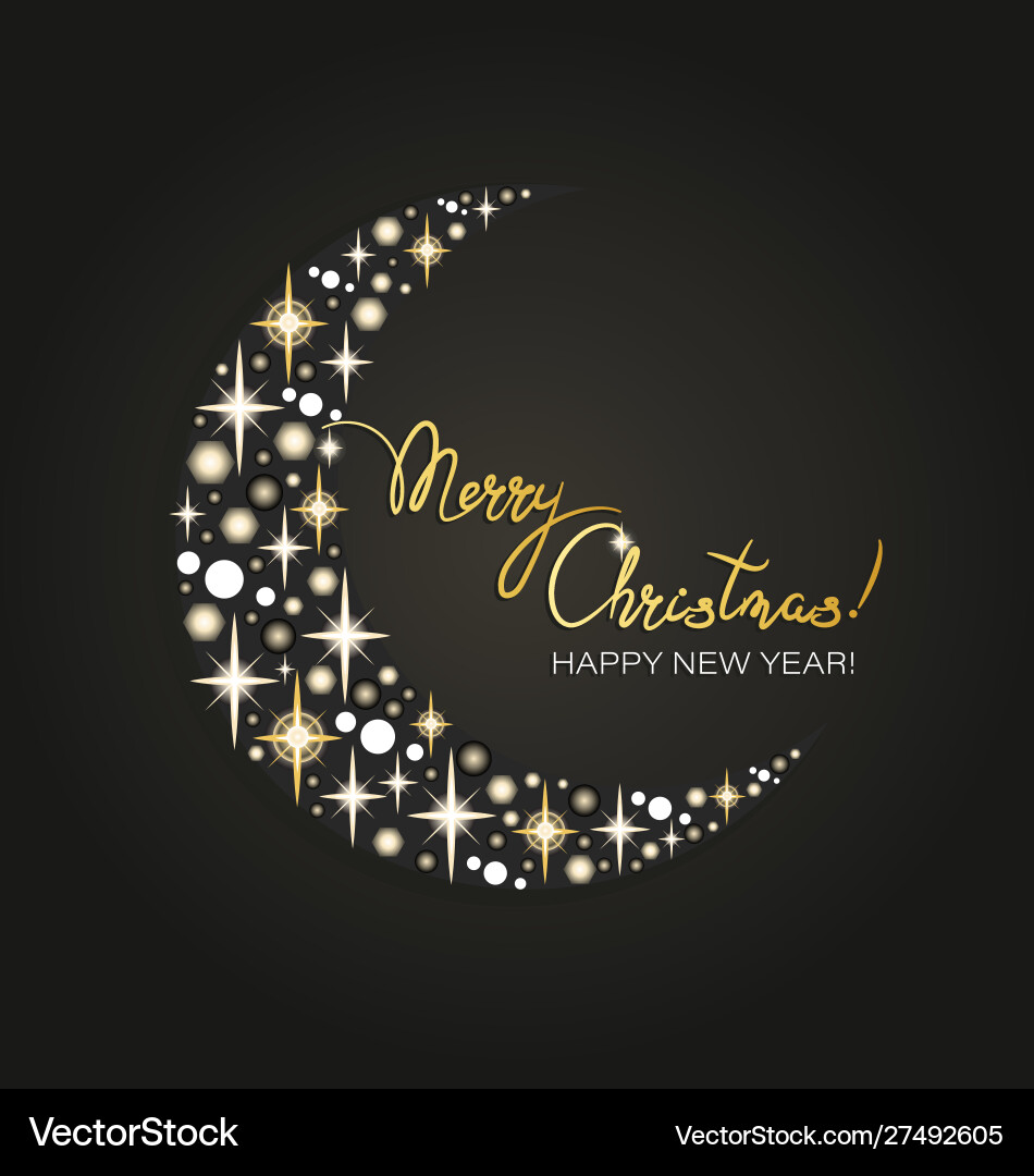Magic christmas night sky new moon Royalty Free Vector Image