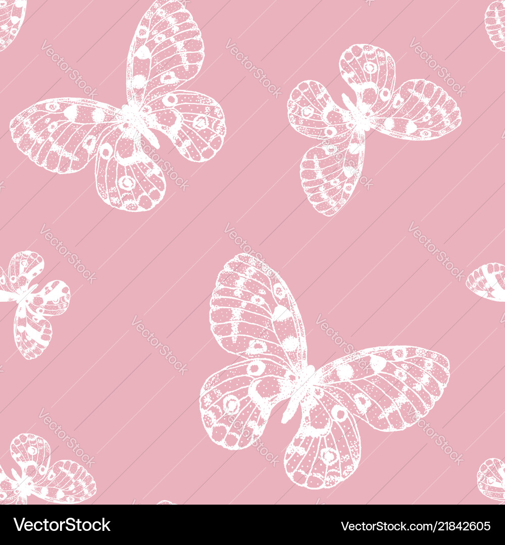Seamless pattern of white hand drawn butterfly Vector Image