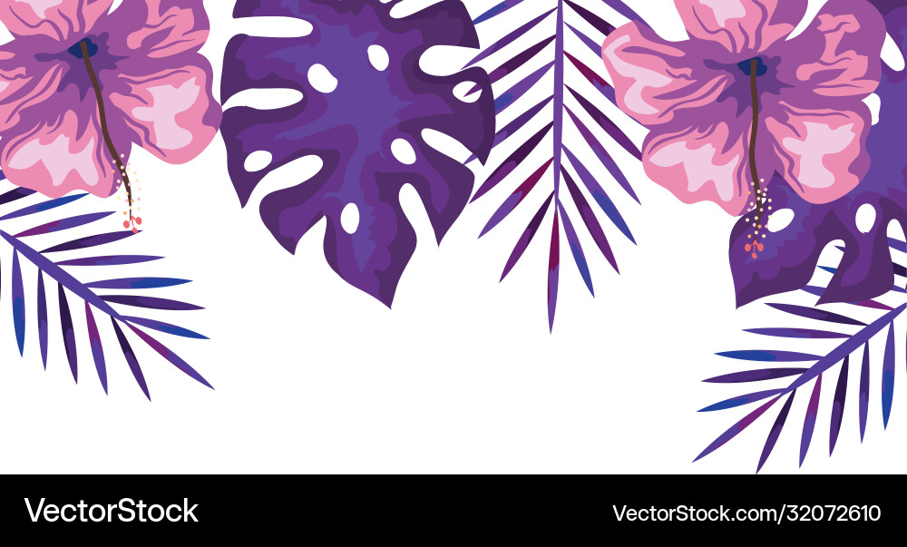 Decoration hibiscus flowers with branches Vector Image
