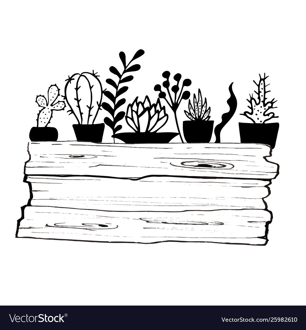 Set Cactuses Hand Drawn Royalty Free Vector Image