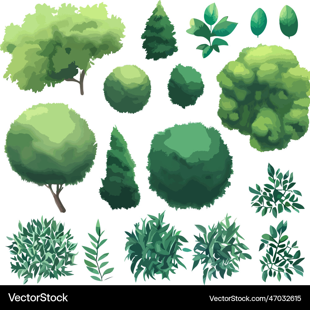 Excellent trees bushes shrubs top view Royalty Free Vector