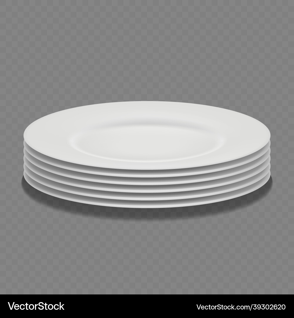 3d realistic white dish plate isolated front vew Vector Image