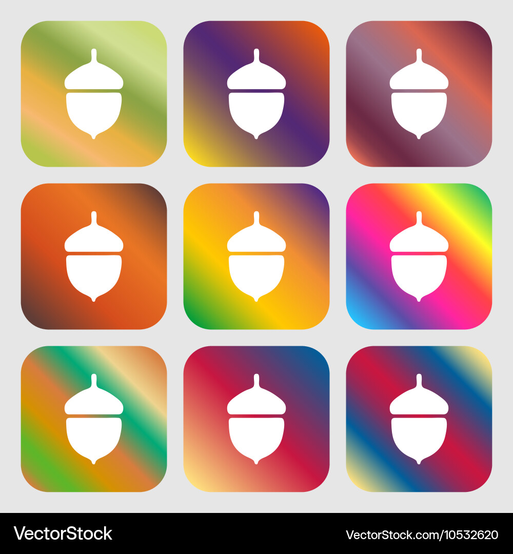 Acorn icon nine buttons with bright gradients Vector Image