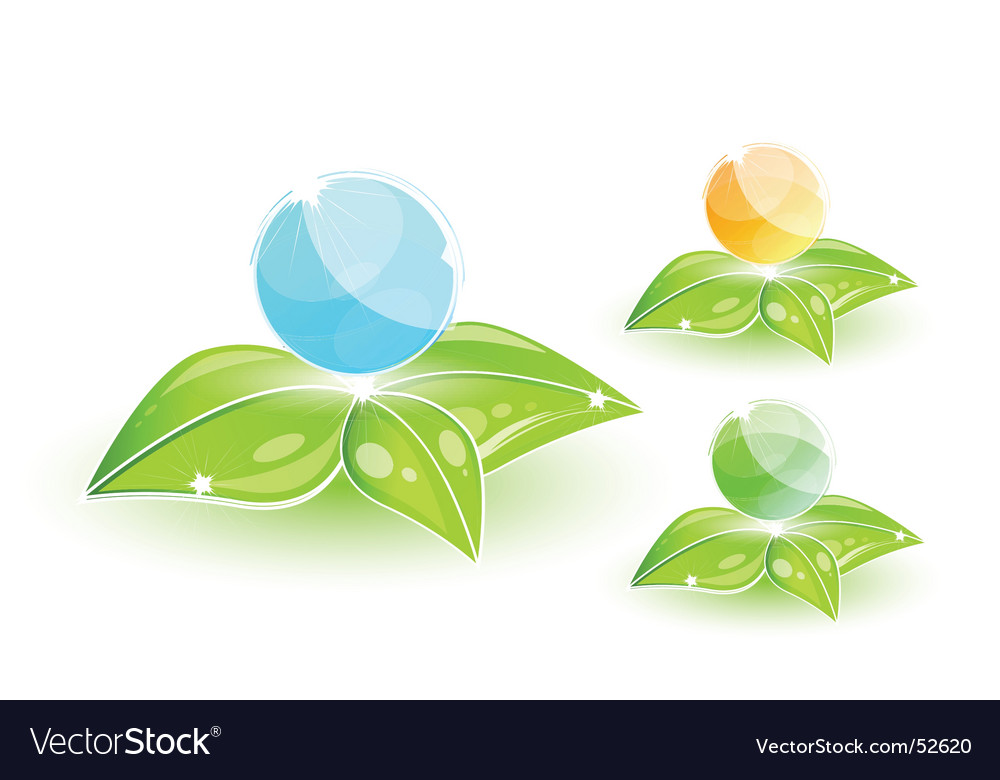 Leaf Royalty Free Vector Image - VectorStock