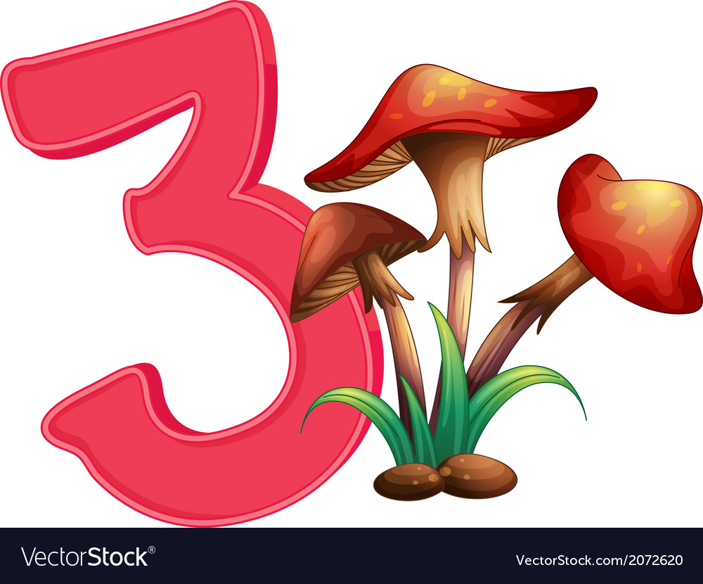 Three mushrooms Royalty Free Vector Image - VectorStock Three mushrooms Royalty Free Vector Image - VectorStock