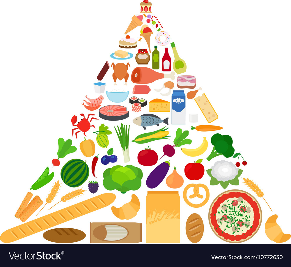 Healthy food diet infographics Royalty Free Vector Image
