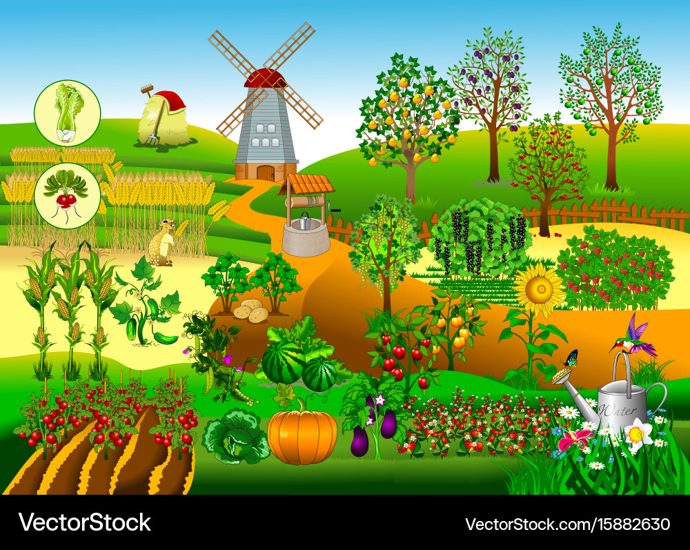Windmill farm Royalty Free Vector Image - VectorStock