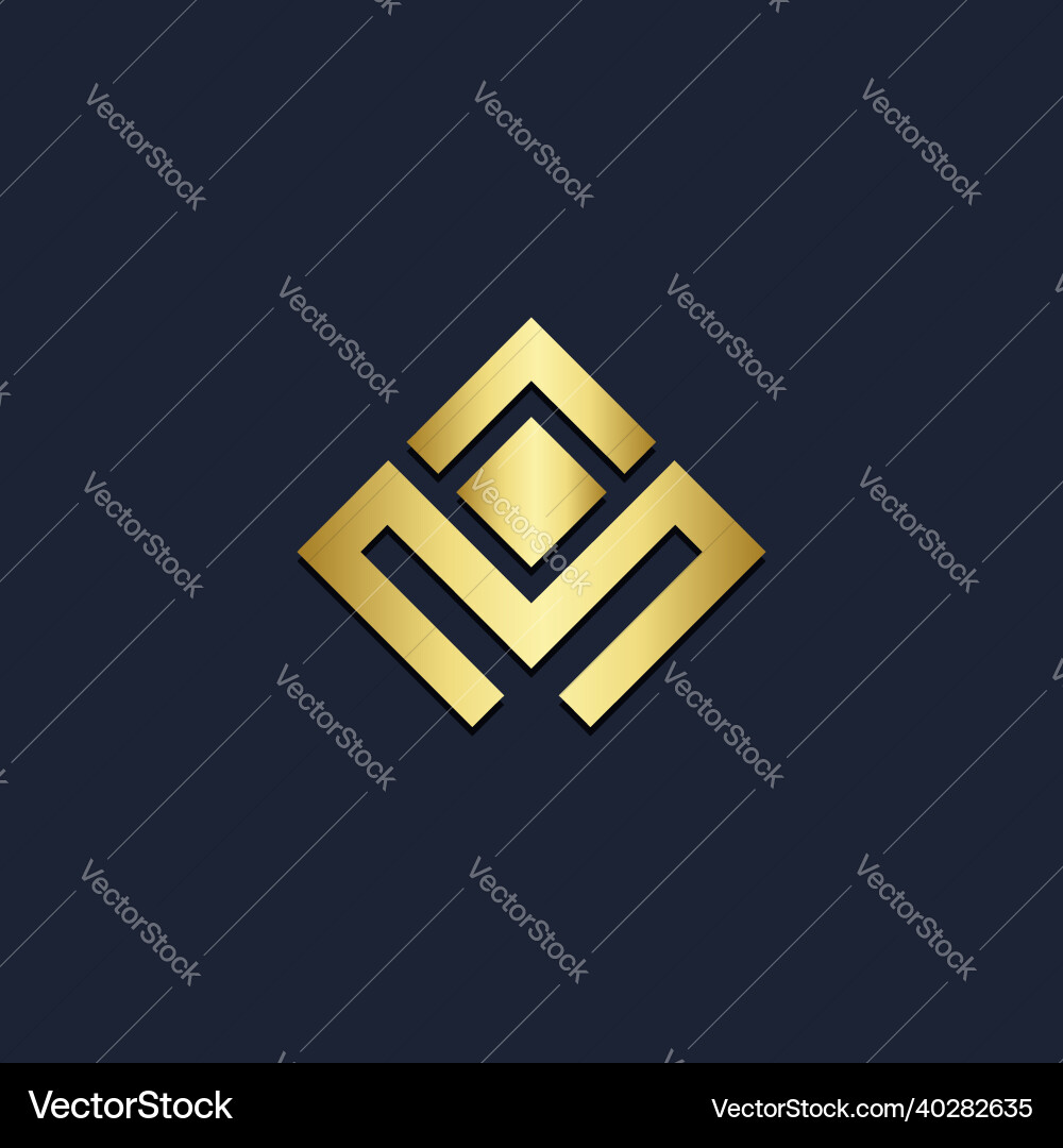 Shape line square abstract company gold logo Vector Image