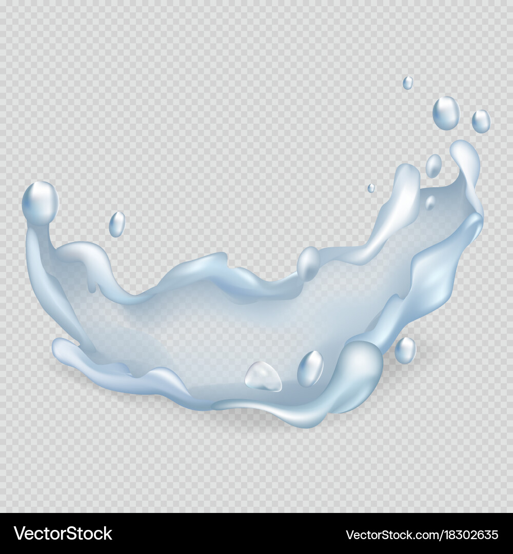 Splash liquid with droplets on transparent Vector Image