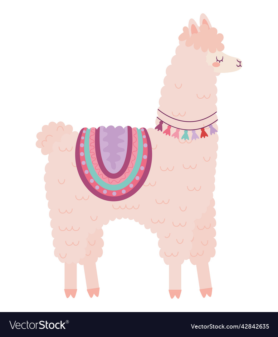 Standing llama Royalty Free Vector Image - VectorStock
