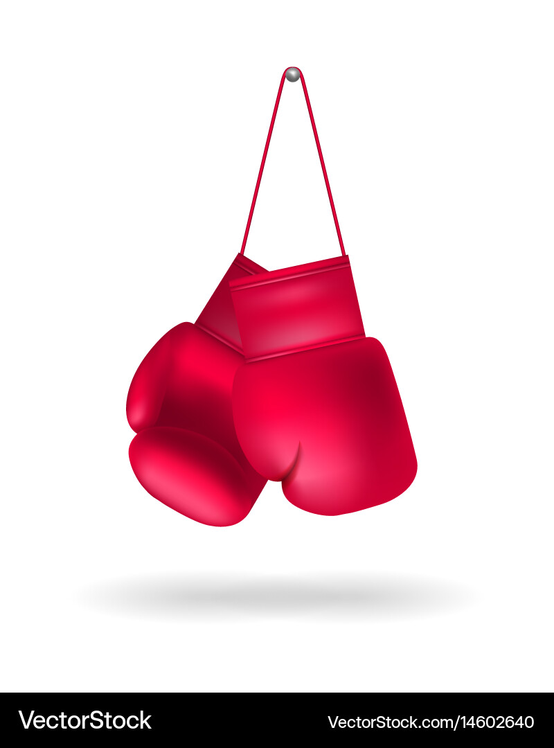 Boxing gloves on a nail Royalty Free Vector Image