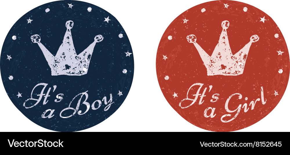 Its a boy and girl labels Royalty Free Vector Image