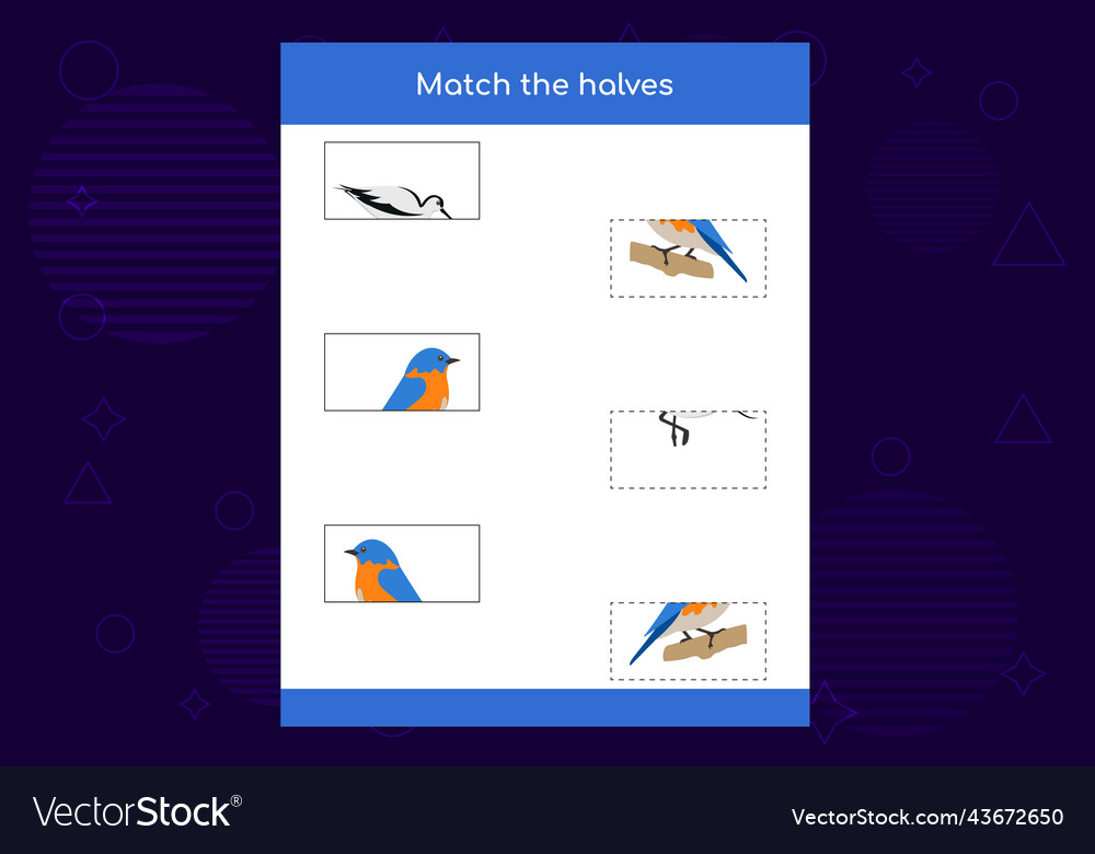 Matching game match halves of birds educational Vector Image