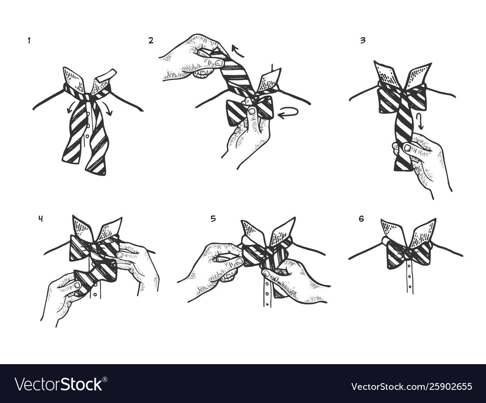Bow tie instructions sketch engraving Royalty Free Vector
