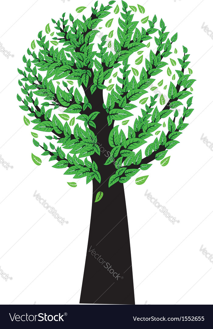 Spring tree with green leaves Royalty Free Vector Image