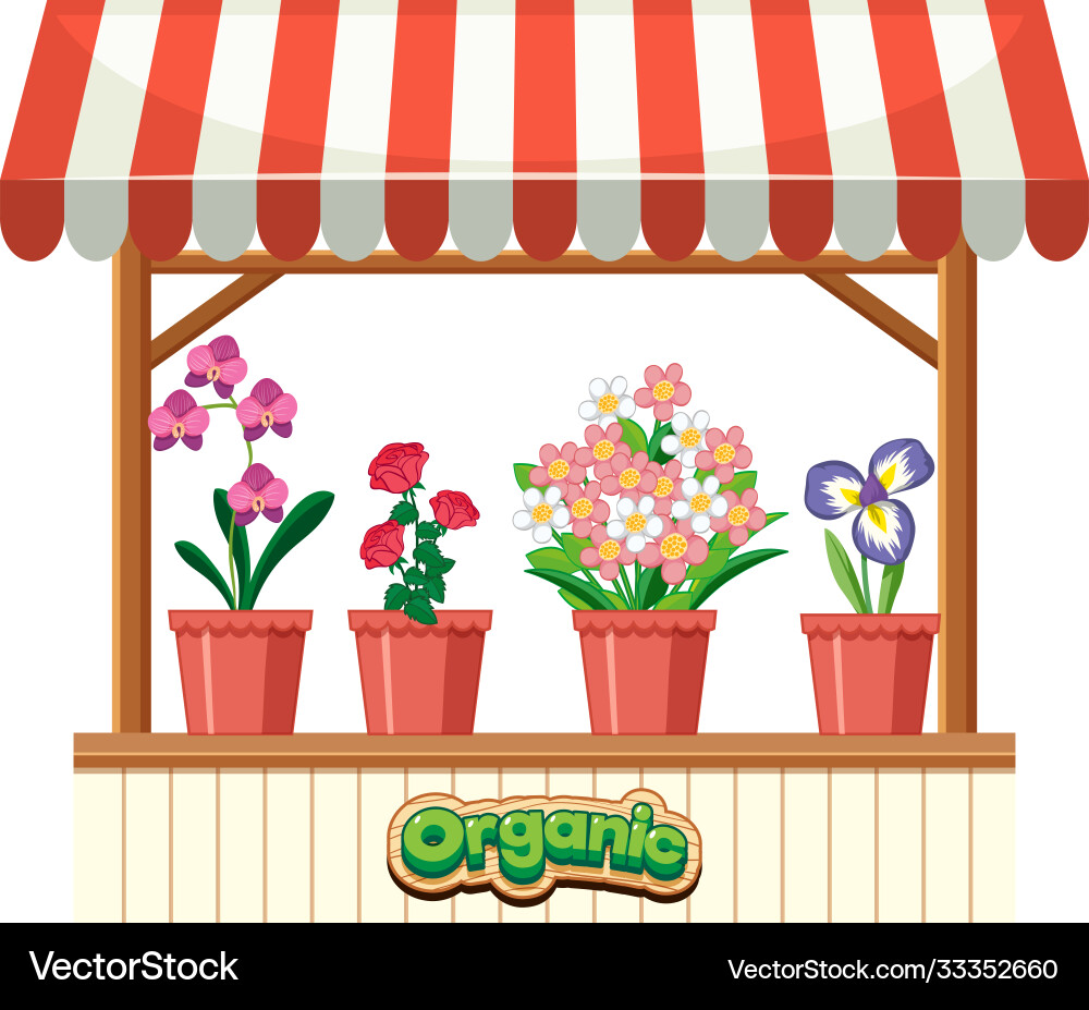 Isolated flower shop on white background Vector Image