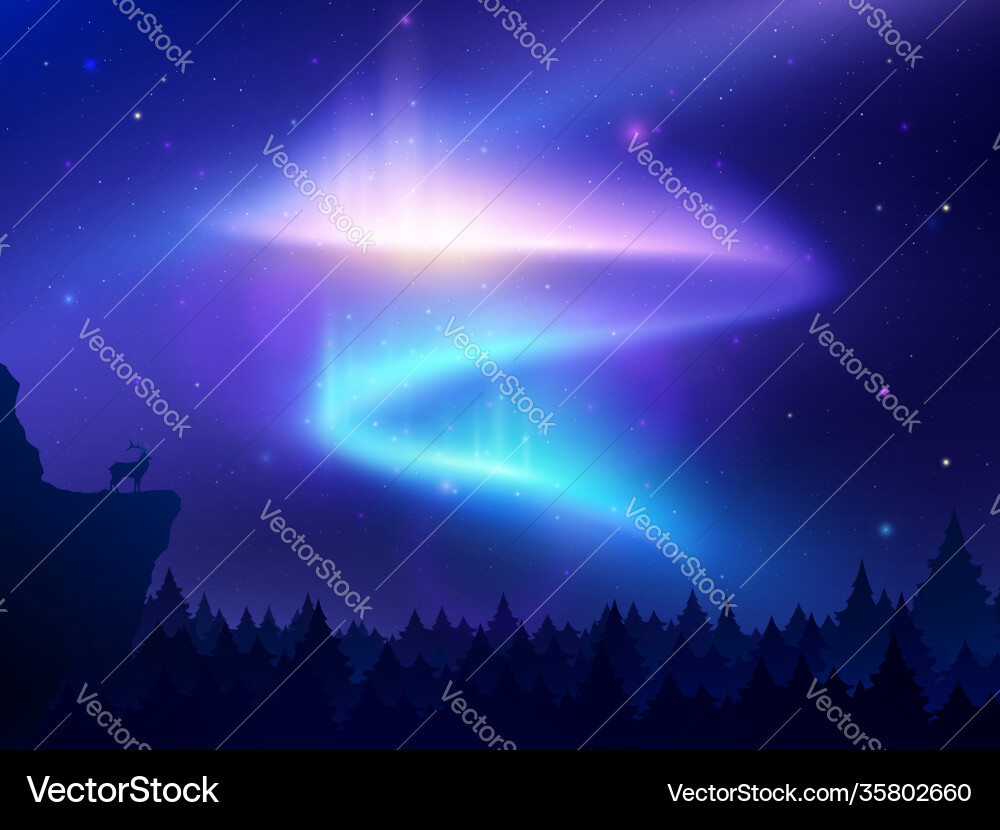 Northern lights background Royalty Free Vector Image