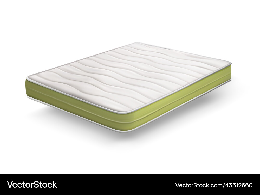 Orthopedic mattress on a white background Vector Image