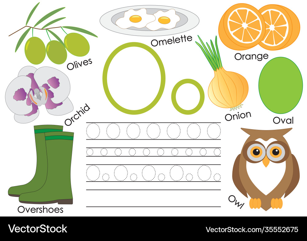 Letter o alphabet english language writing Vector Image