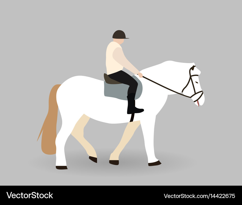 Rider on white horse Royalty Free Vector Image