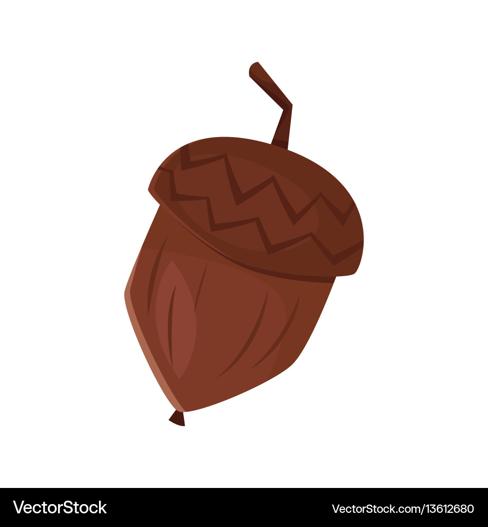 Cartoon style acorn Royalty Free Vector Image - VectorStock