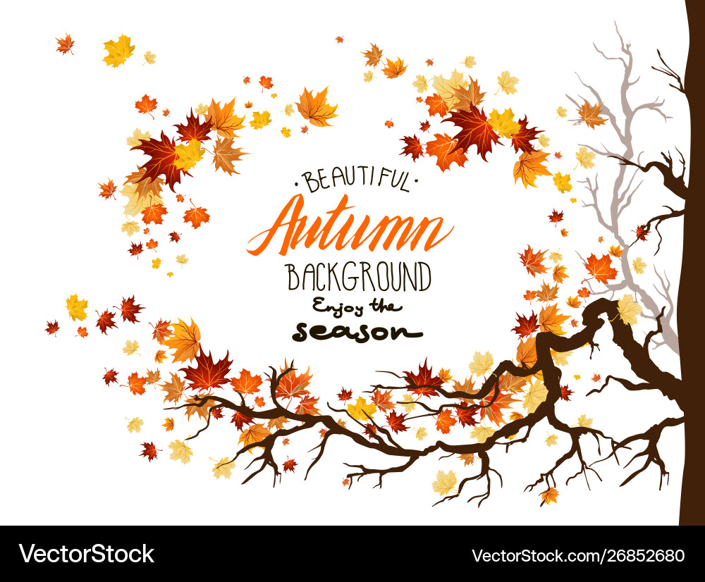 Seasonal image with leaves Royalty Free Vector Image