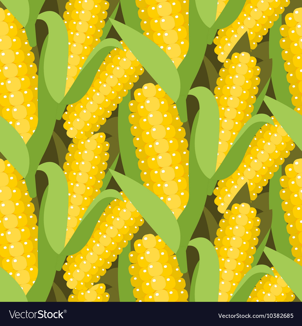 Corn seamless pattern maize Royalty Free Vector Image