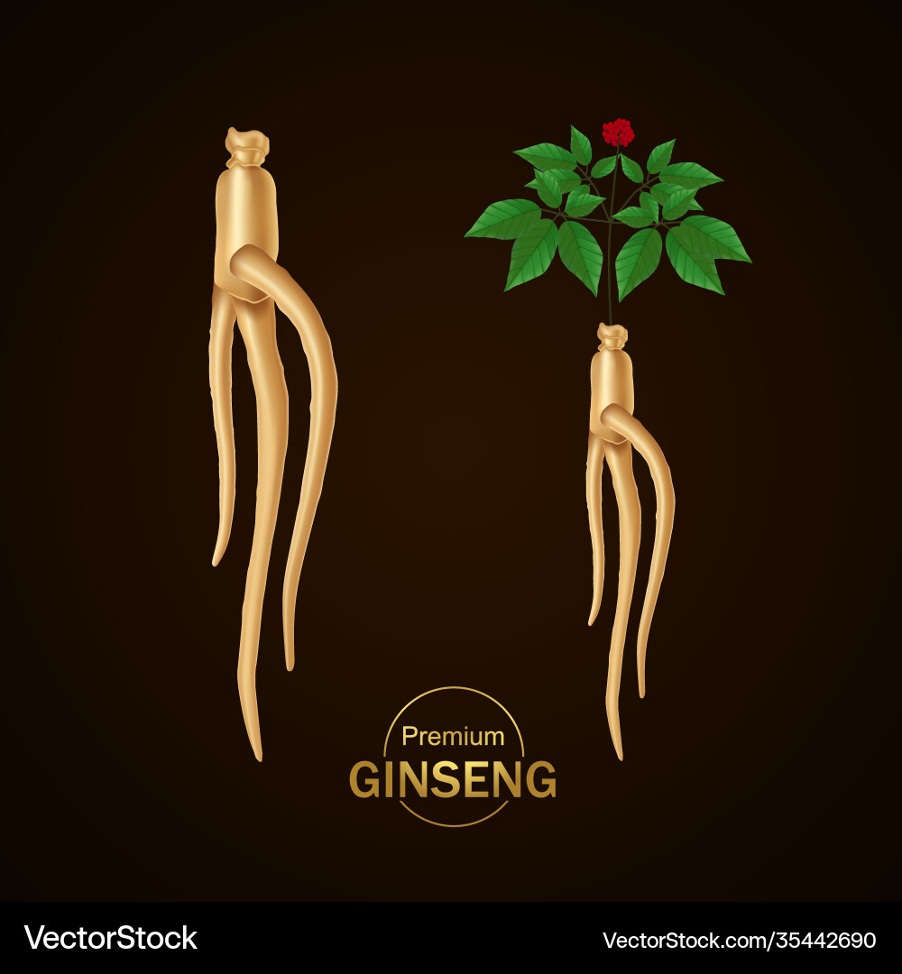 Ginseng for good health Royalty Free Vector Image
