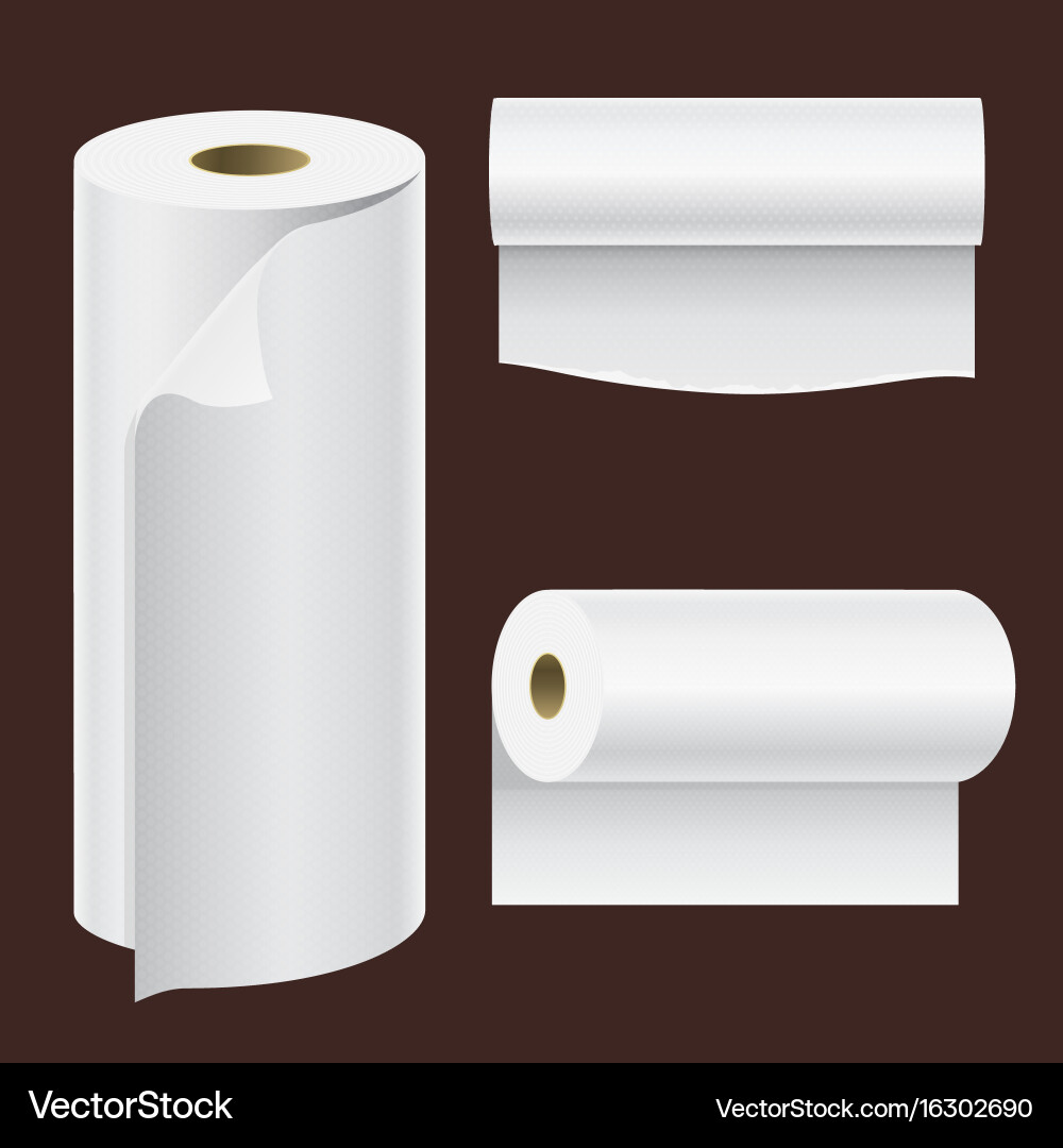 Realistic paper roll mock up set isolated Vector Image
