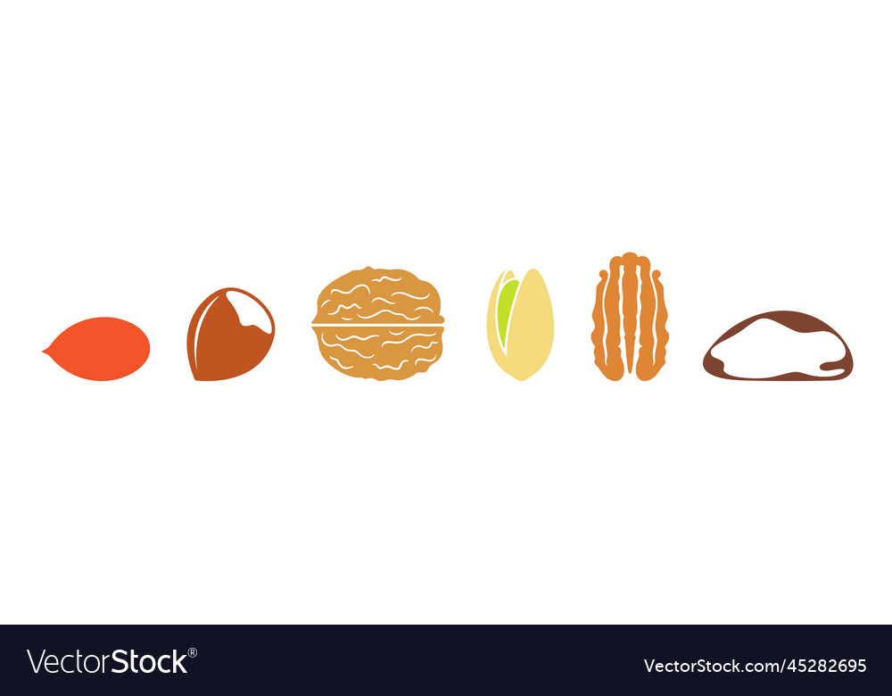 Nut Royalty Free Vector Image - VectorStock