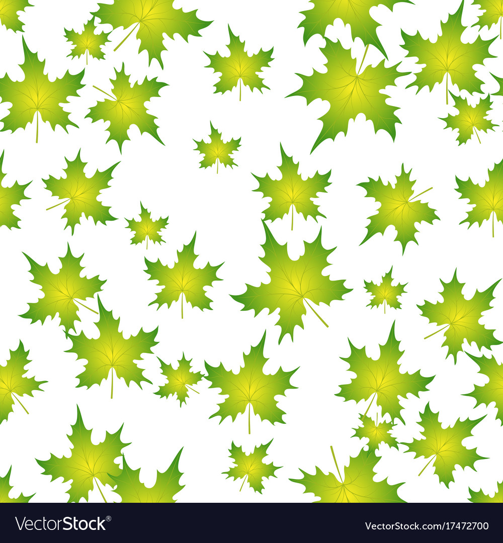 Seamless maple leaves pattern Royalty Free Vector Image