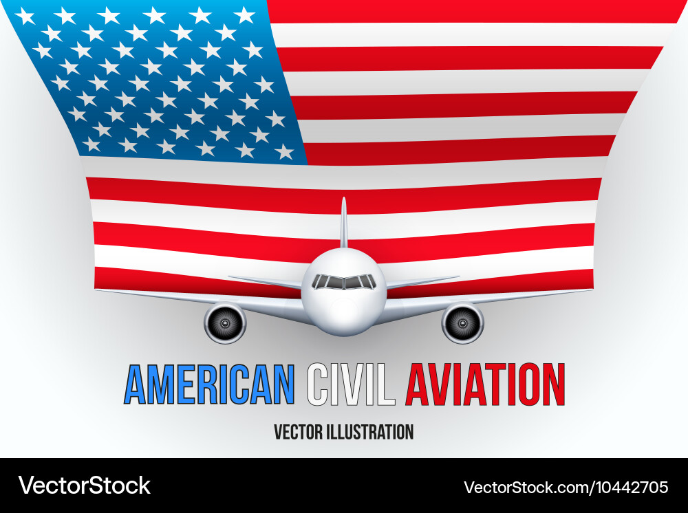 Civil aircraft with flag Royalty Free Vector Image