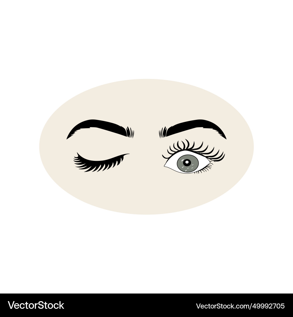 Female eyes icon with eye brows Royalty Free Vector Image