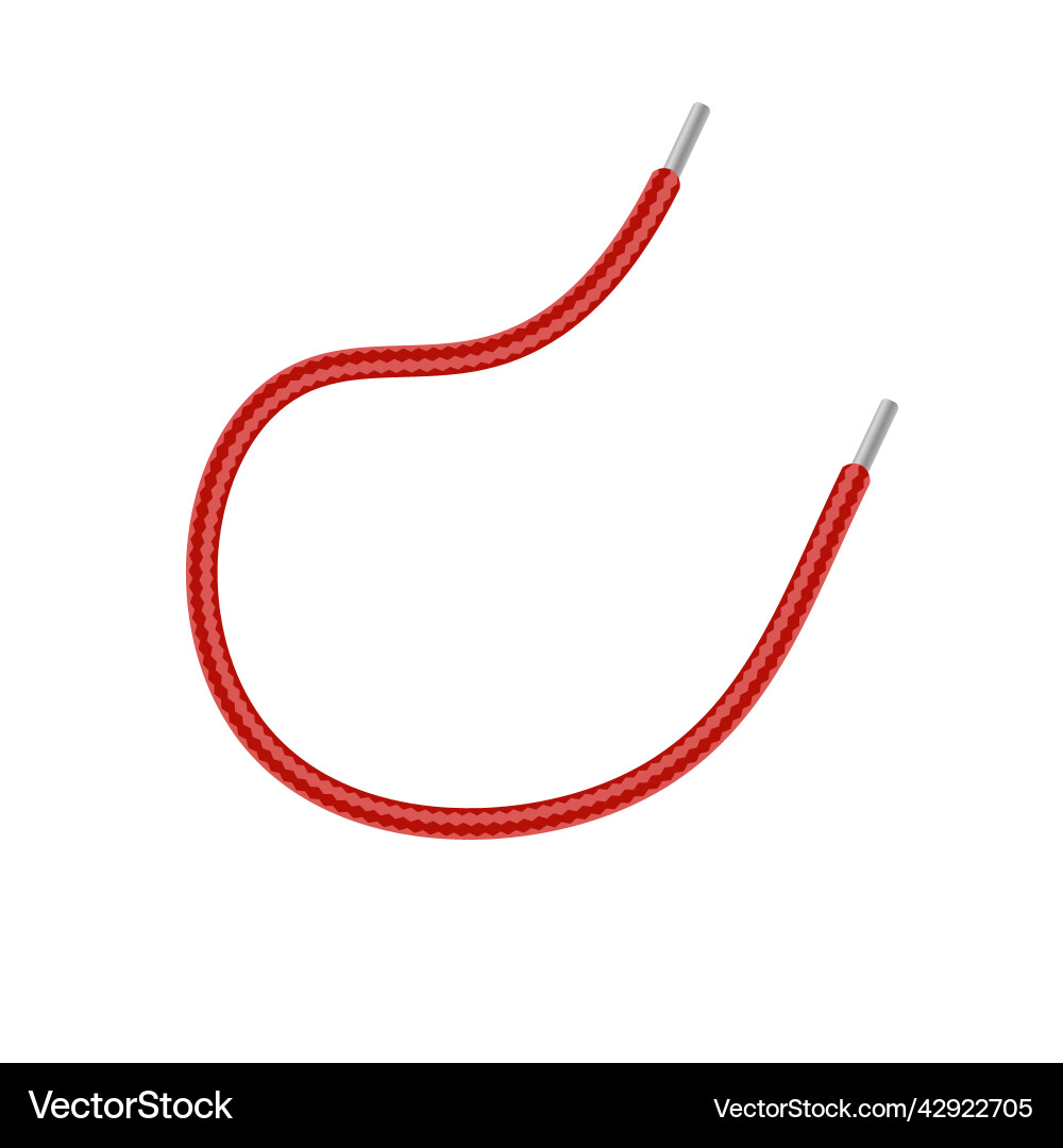 Red shoe lace with gray tips realistic Royalty Free Vector
