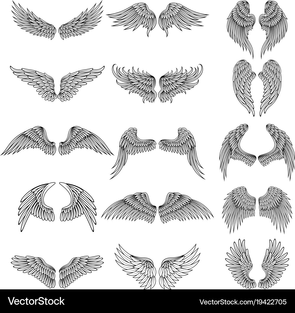 Tattoo design pictures different stylized wings Vector Image