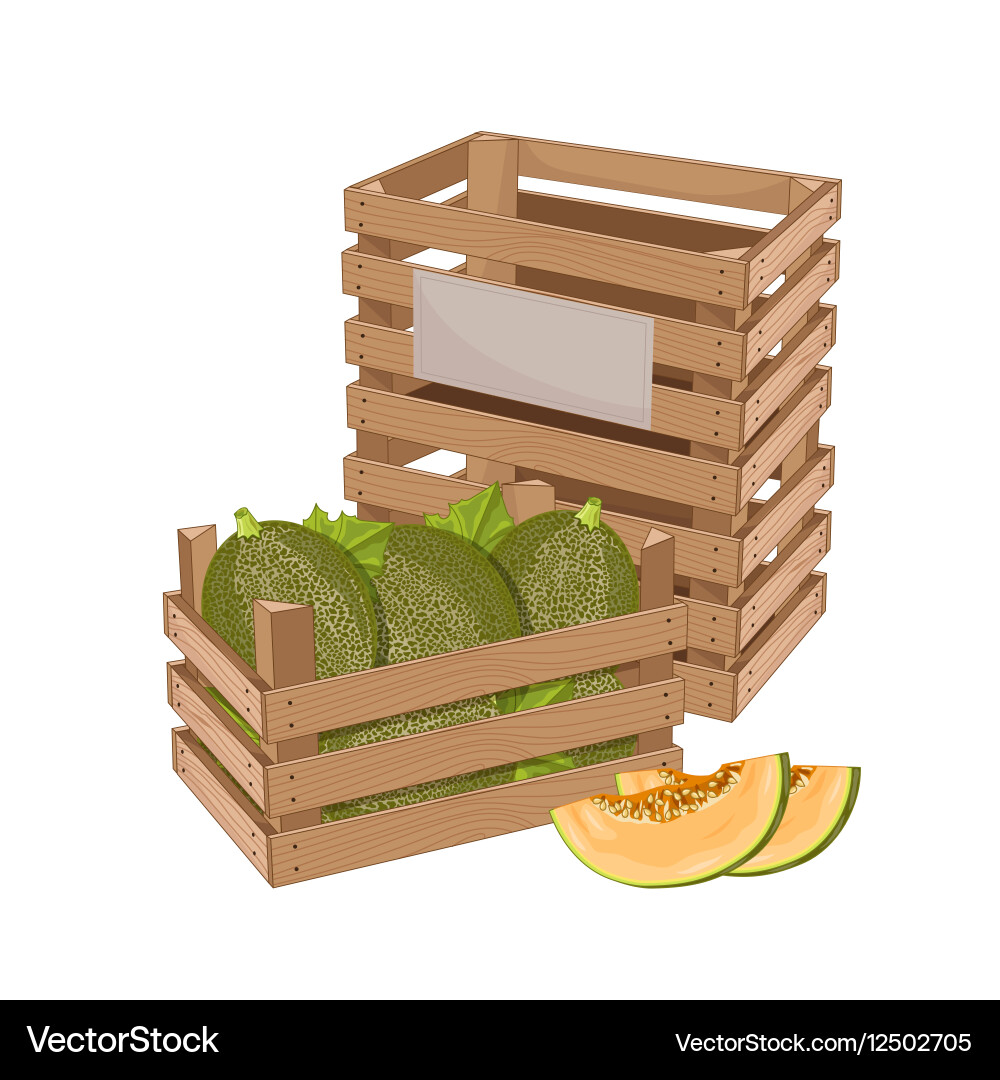 Wooden box full melon isolated Royalty Free Vector Image