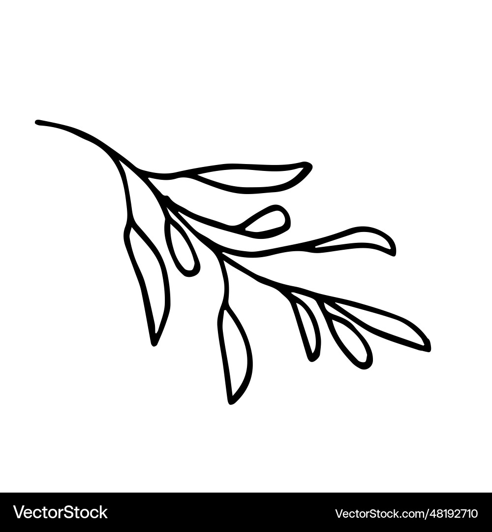A branch with fruits in concise form the illust Vector Image