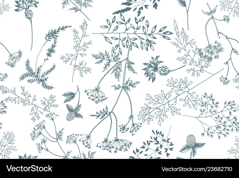 Wild flowers blossom branch seamless pattern Vector Image